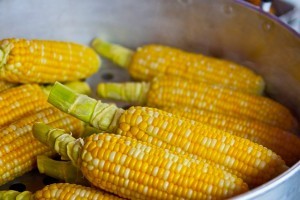 The Ugly Truth About Corn: That Will Make You Stop Eating It | Extreme ...