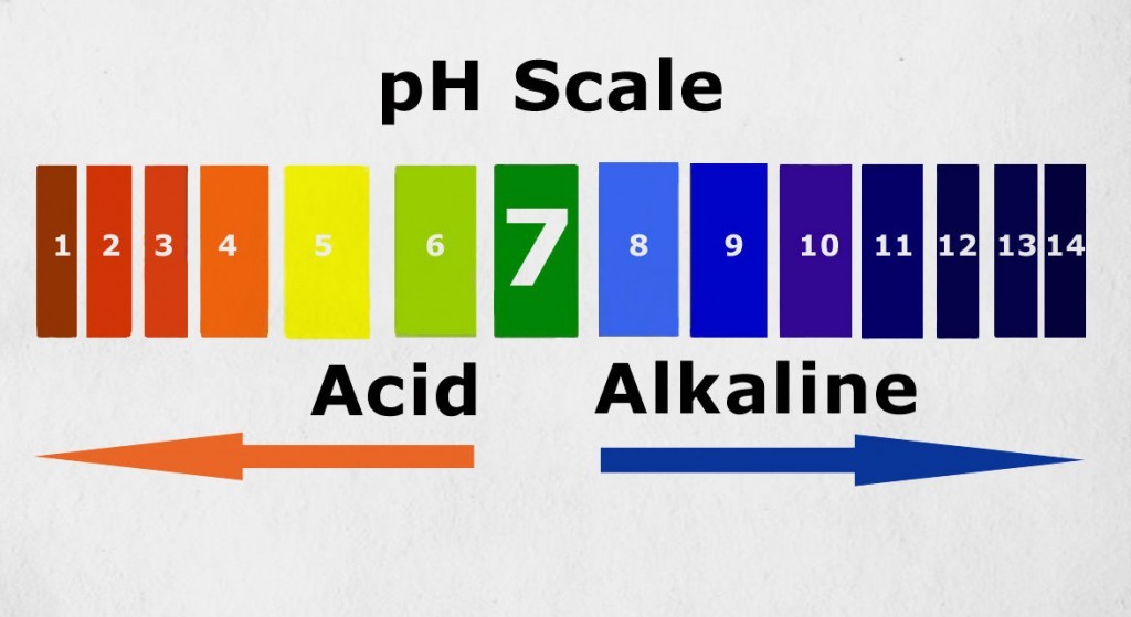 The Truth About pH Levels and Cancer | Extreme Natural Health News